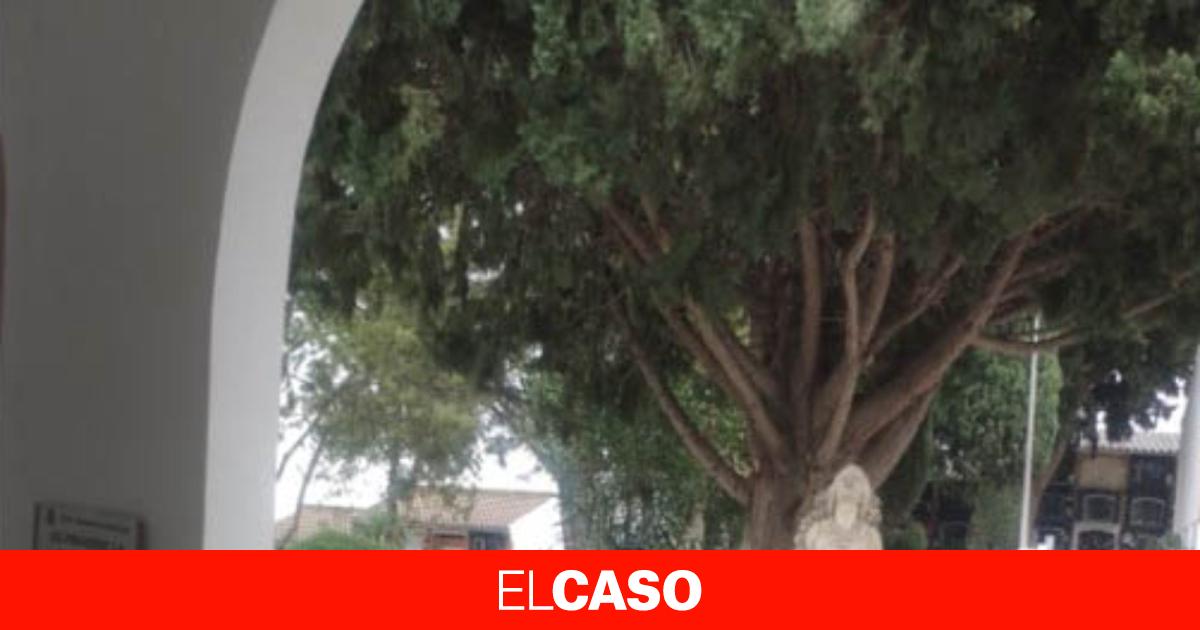 Buscan a un ladrón de tumbas que hace cinco años que saquea varios ... Buscan a un ladrón de tumbas que hace cinco años que saquea varios ...