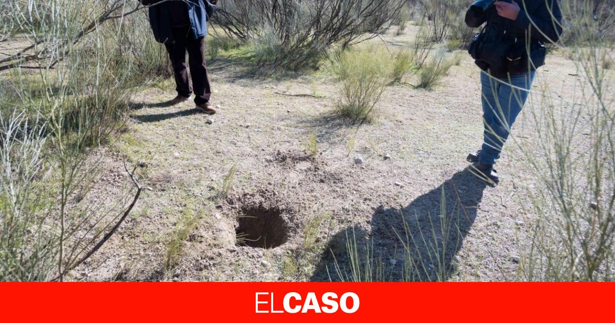 Recién nacido y abandonado con una manta: así encontraron al bebé ...