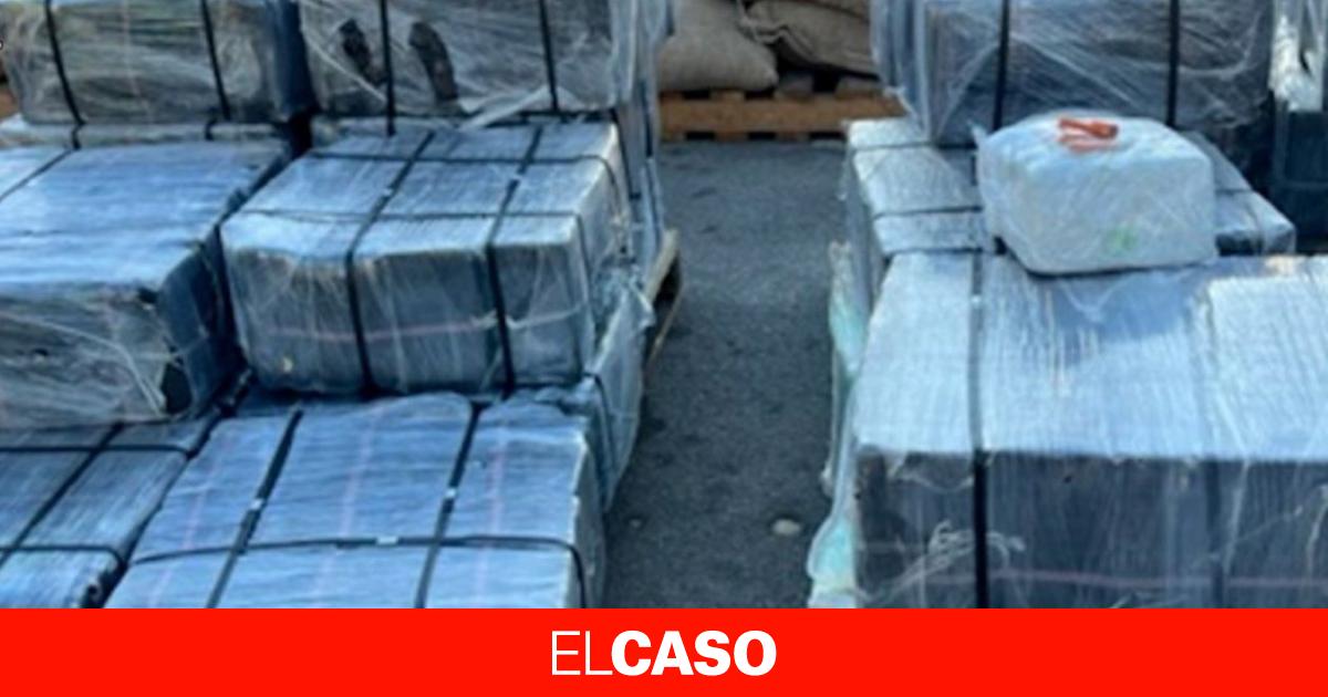 Redada antidroga en el Puerto de Barcelona: más de una tonelada de cocaína camuflada entre cacao