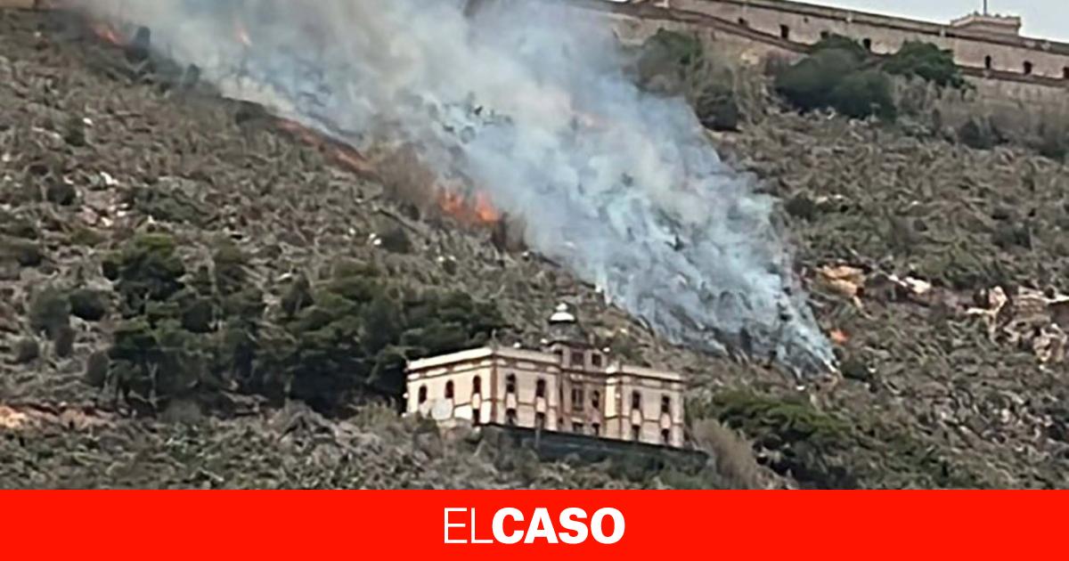 Detenido un hombre acusado de provocar el incendio de Montjuïc de Barcelona: cazado por la ...