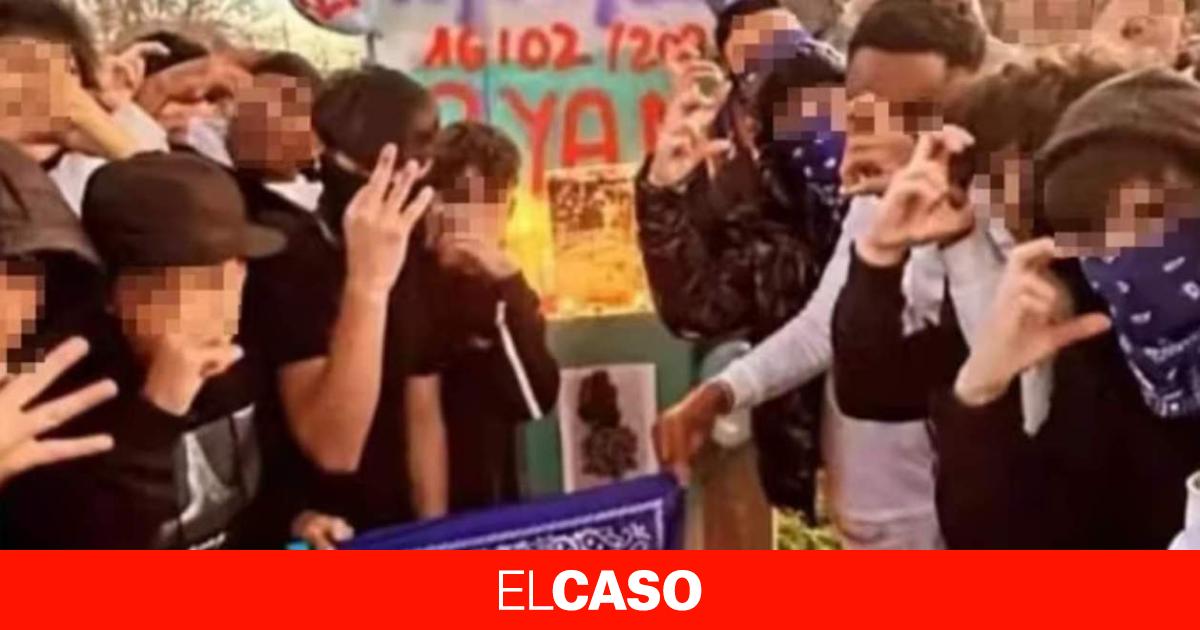 Incógnitas en el caso de Ryan, el niño de 14 años muerto de una ...