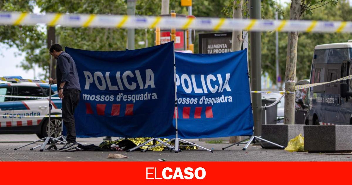 Fin de semana de Sant Joan y luna llena, cóctel fatal: siete homicidios ...