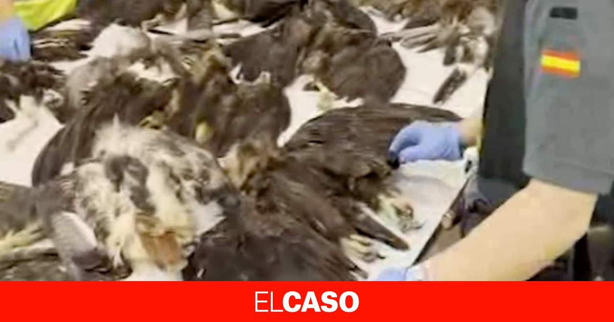 Desagradable sorpresa al control del aeropuerto del Prat: asqueroso e ...