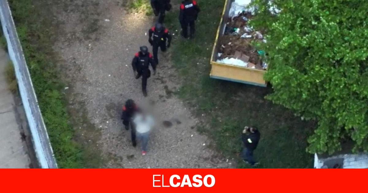 Producción non-stop de marihuana en una nave de la Roca del Vallès con ...