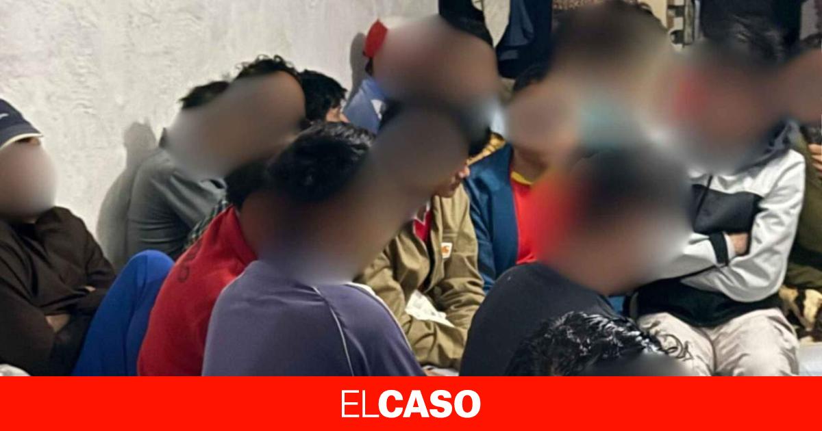 Explotación infrahumana de temporeros en Catalunya: trabajos de sol a ...