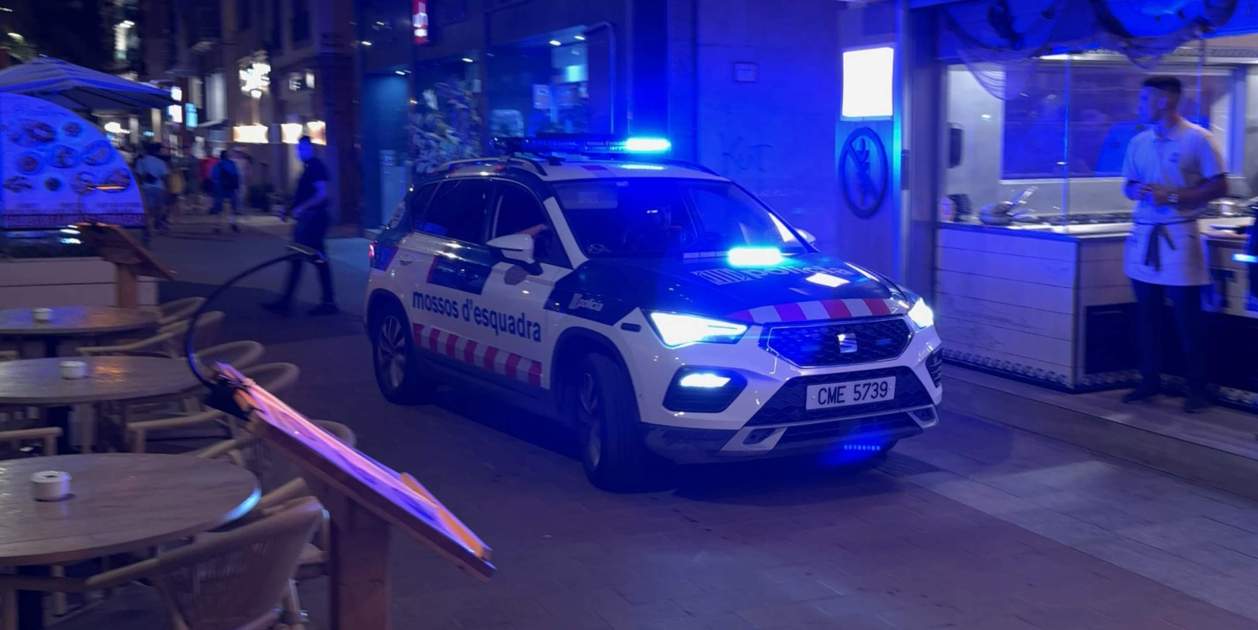 Detingut un home per l'agressió sexual i la mort d'una noia jove en un ...