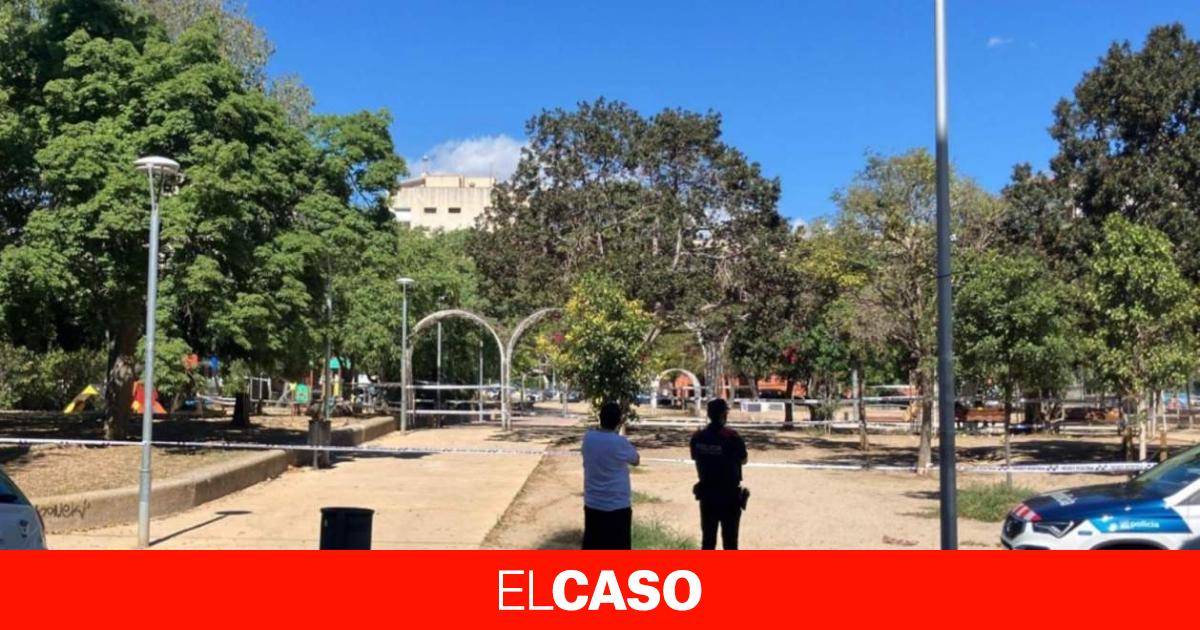 Investigan la muerte a puñaladas de un hombre de 50 años que malvivía en un parque de Vilanova i ...