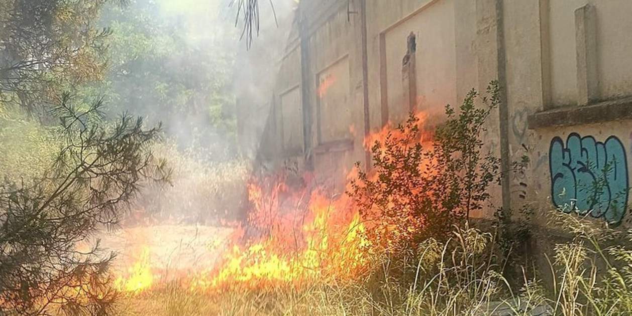 Atrapan a un pirómano que ha provocado un incendio forestal al quemar ...