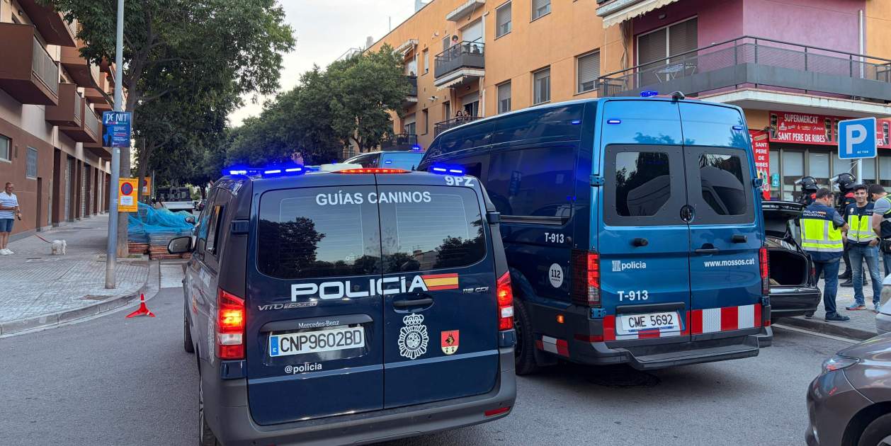 Cae el supermercado de la droga en Sant Pere de Ribes: marihuana ...